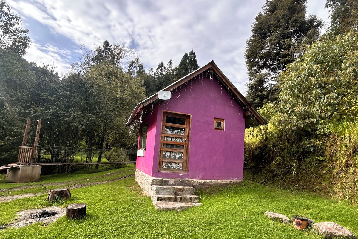Um pequeno edifício térreo com fachada roxa e porta de madeira, cercado por gramado e árvores.