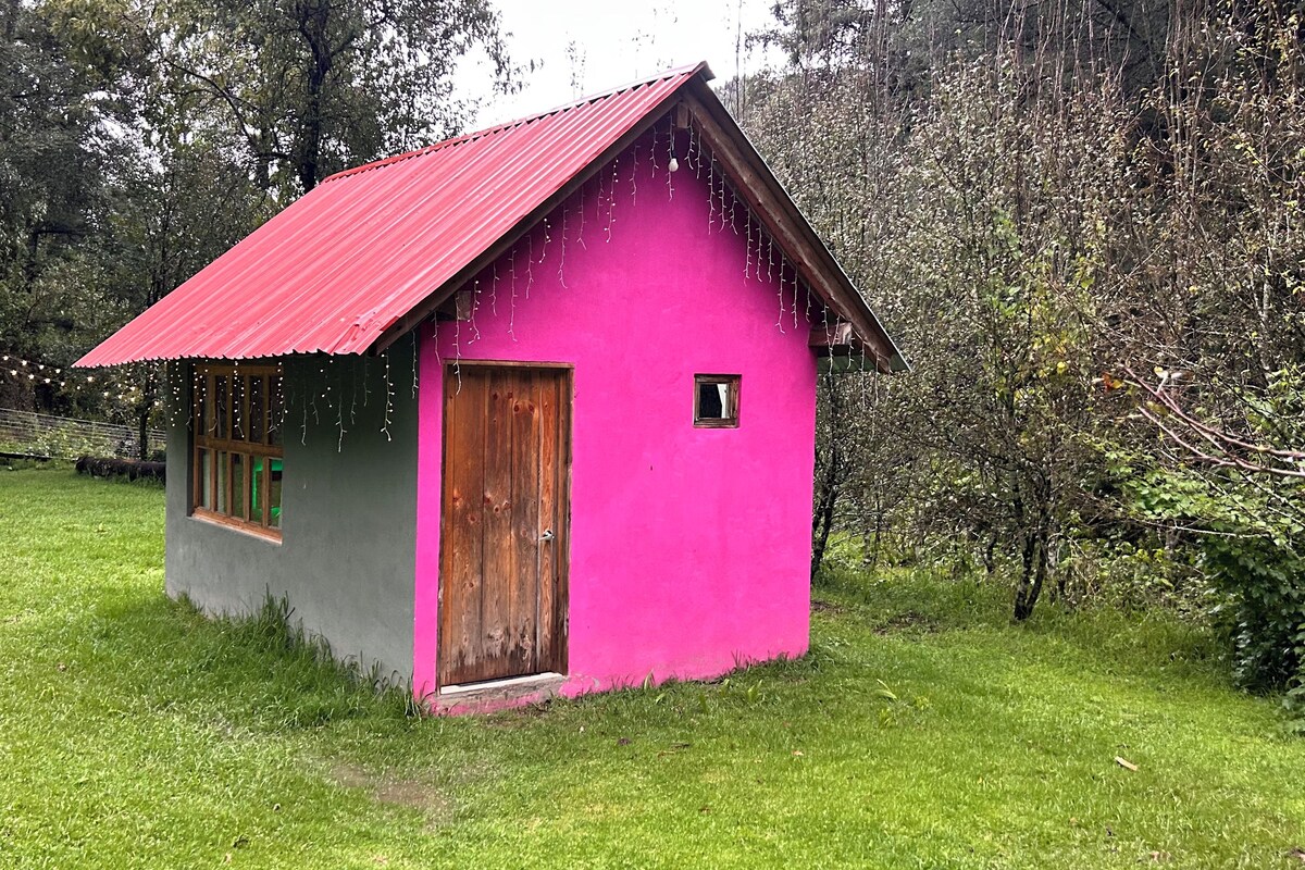 Uma casa pequena rosa com telhado vermelho, porta de madeira e uma janela.