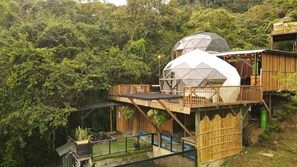 Uma estrutura em forma de cúpula com deck de madeira e uma pequena piscina, rodeada por vegetação densa.
