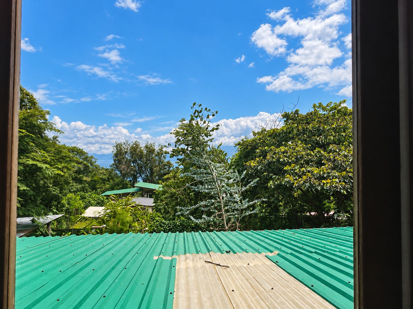 Vista da janela para um edifício com telhado verde, cercado por folhagem densa e árvores.