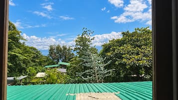 Vista da janela para um edifício com telhado verde, cercado por folhagem densa e árvores.