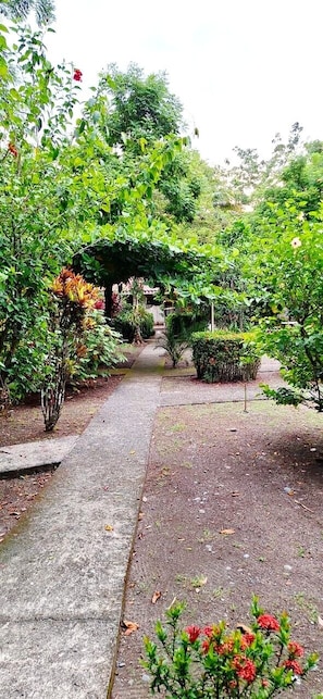 Um caminho no jardim com diversas plantas e uma pequena ponte.