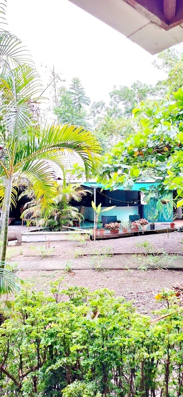 Jardim
