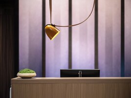 Uma mesa com um laptop, uma planta em vaso e uma luminária pendente.