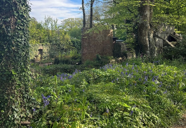 'Bluebell' Charming Woodland Shepherds Hut Nr Sea - アングルシー島