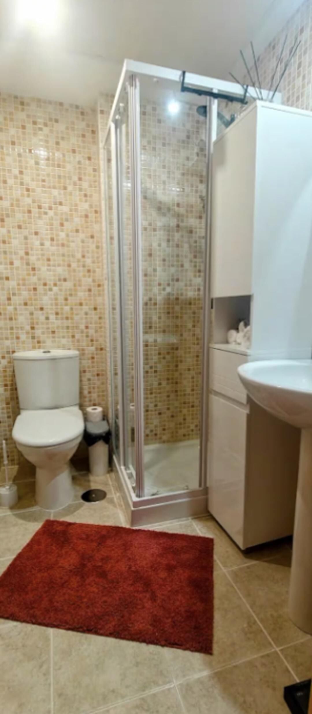 Uma casa de banho com cabine de duche em vidro, sanita, lavatório e um tapete vermelho no chão.