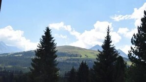 A mountain cabin with a metal roof, surrounded by trees and a clear sky.
