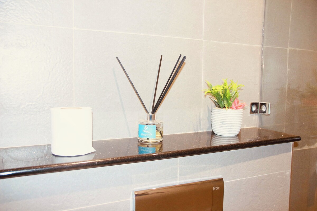 Uma bancada de banheiro com um rolo de papel higiênico, uma garrafa de shampoo e um vaso de planta.