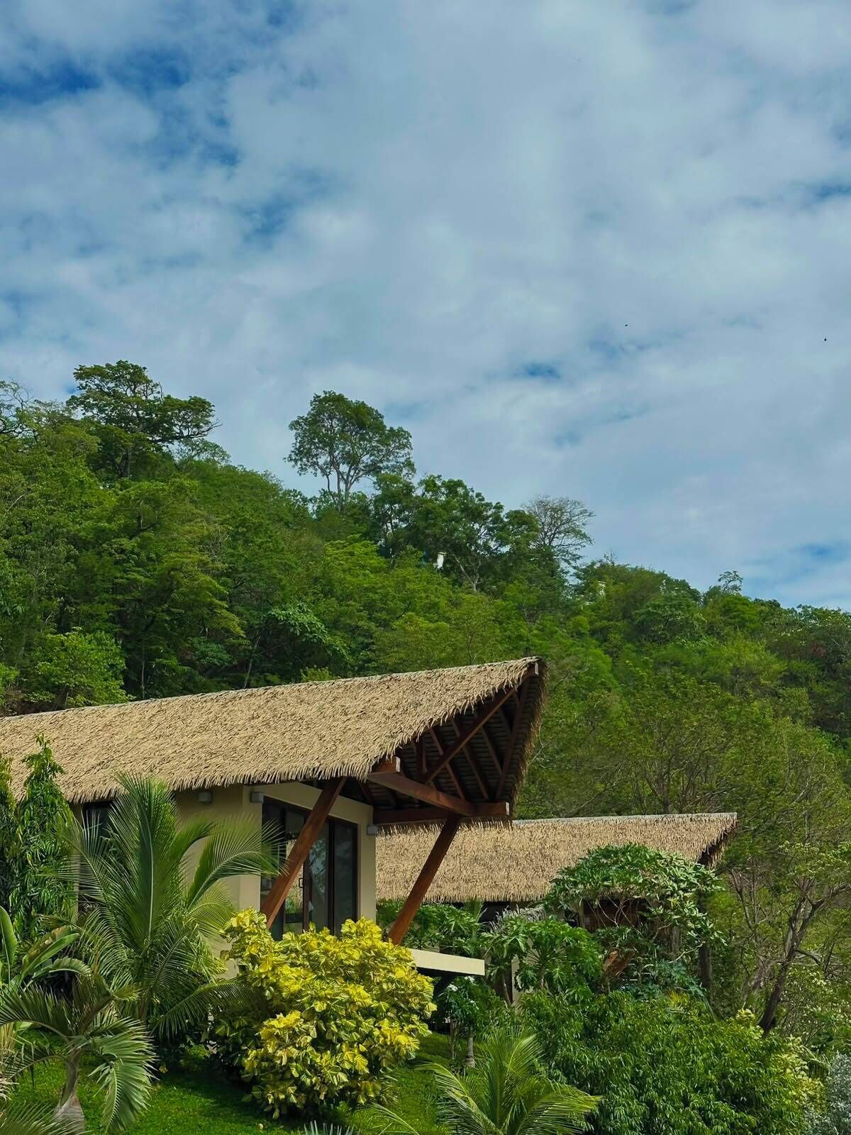 Um edifício com telhado de palha rodeado por vegetação exuberante.
