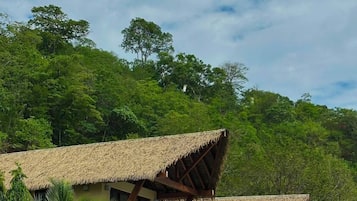Um edifício com telhado de palha rodeado por vegetação exuberante.
