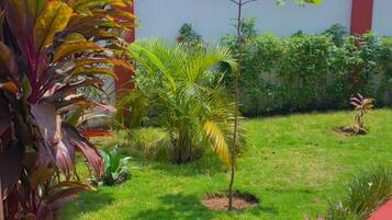 Um jardim bem cuidado com diversas plantas e um caminho vermelho.