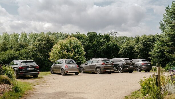 Uma área de estacionamento com calçamento, com vários carros estacionados, cercada por vegetação e árvores.