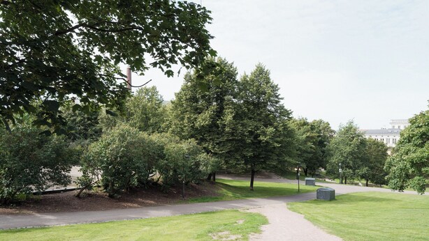 Uma trilha em um parque, com árvores e uma área gramada.