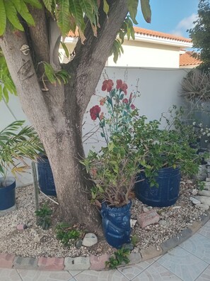 Uma árvore com um vaso de planta, um cacto e uma estátua decorativa em um jardim.
