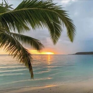 Cena de praia com uma palmeira e o pôr do sol refletindo na água.