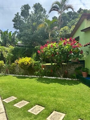 Um jardim bem cuidado com gramado, arbusto florido e um edifício verde ao fundo.