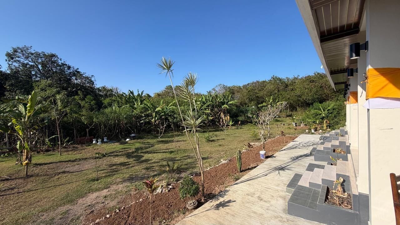 Área da propriedade