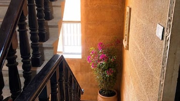 Escadaria com corrimão de madeira que leva a um patamar com planta em vaso.