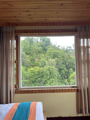 Quarto com uma grande janela com vista para uma encosta arborizada.