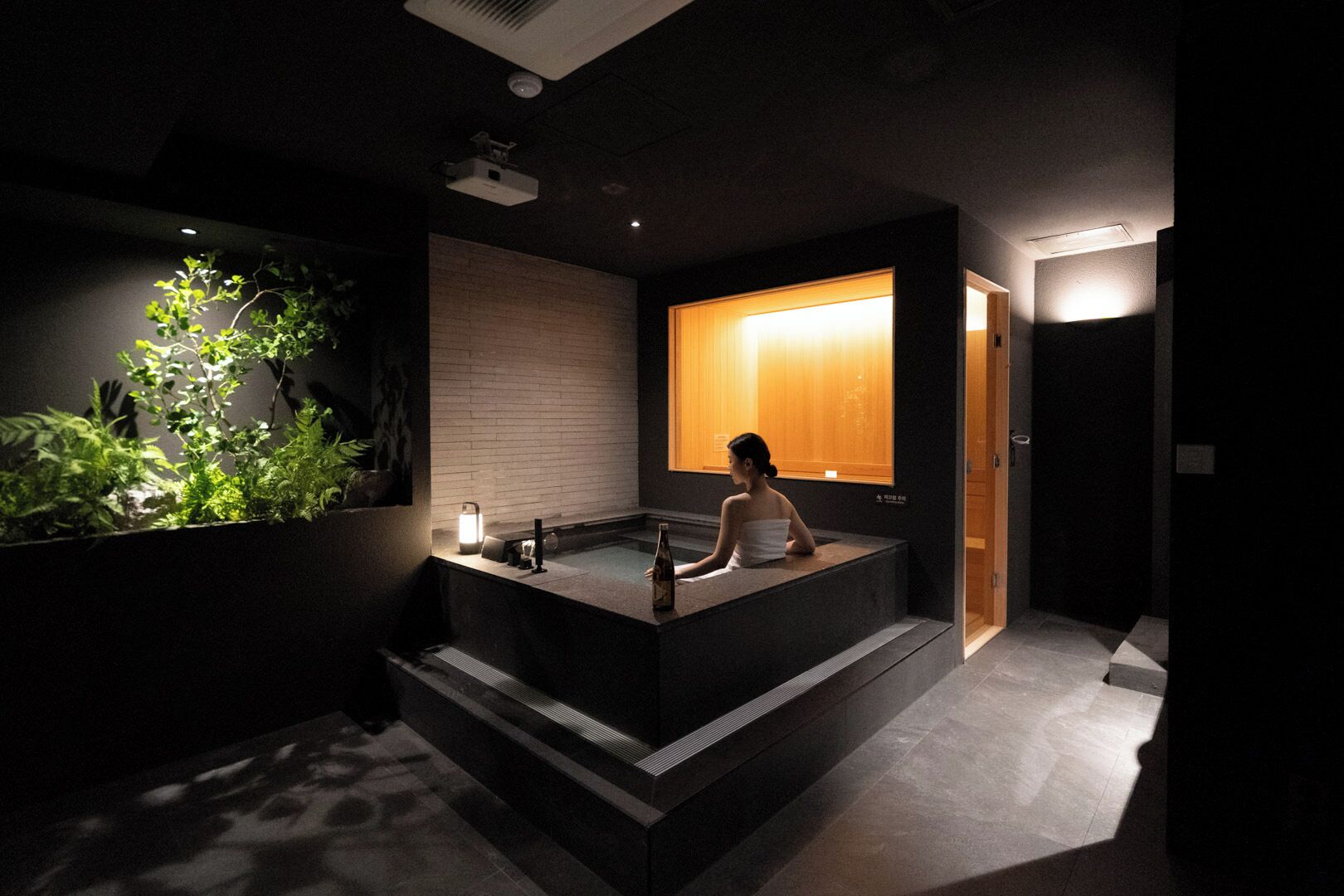 Uma área de spa com hidromassagem, uma TV fixada na parede e uma planta.
