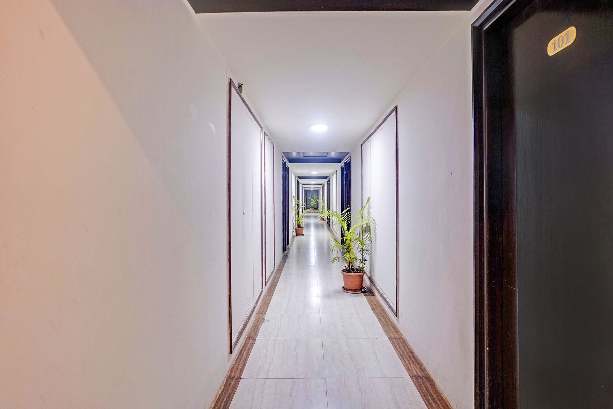 Corredor longo e estreito de hotel, com portas de ambos os lados, plantas em vasos e uma porta com o número indicado.
