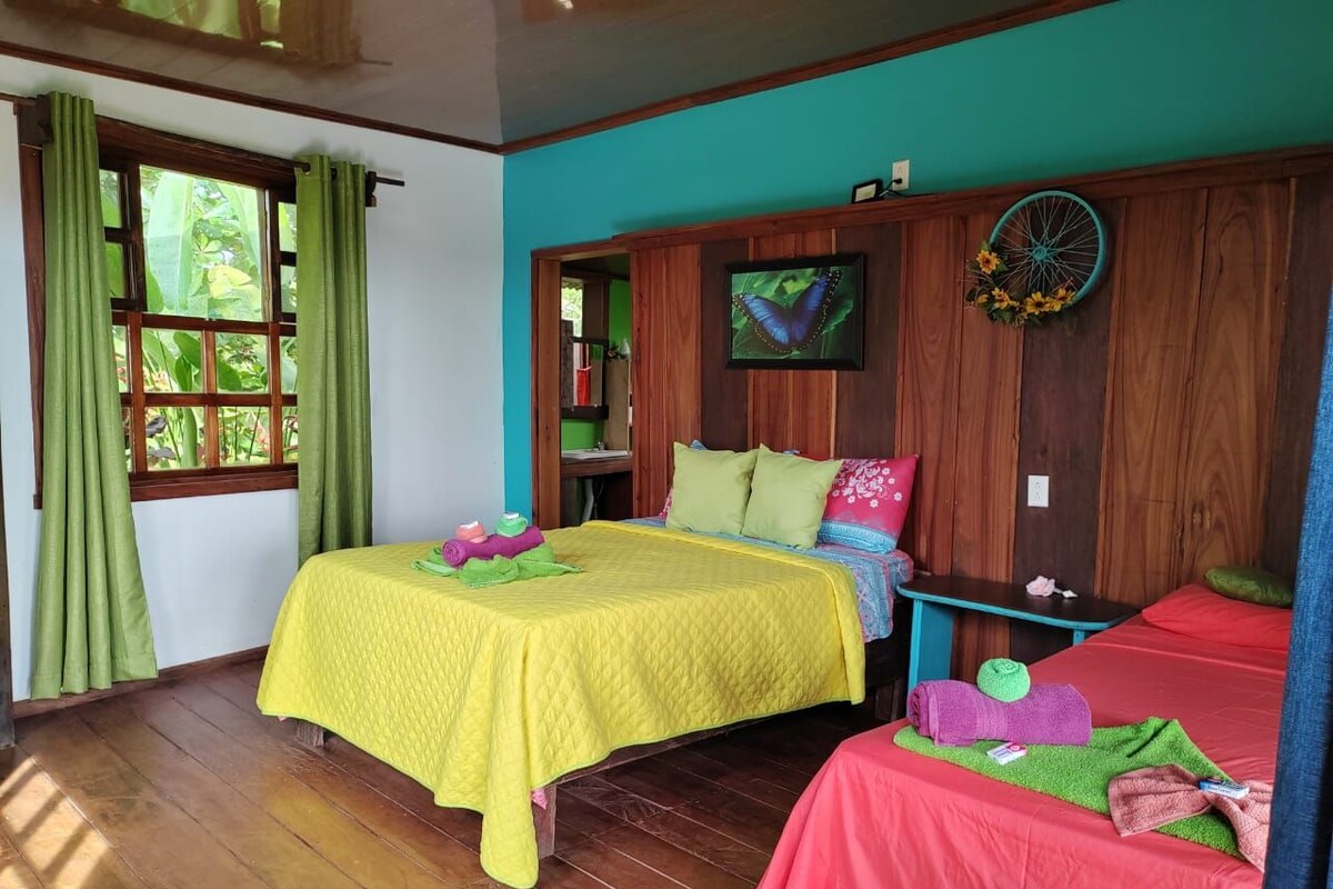 Quarto com duas camas, televisão e janela com cortinas.