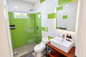 Casa de banho moderna com chuveiro, sanita e lavatório.