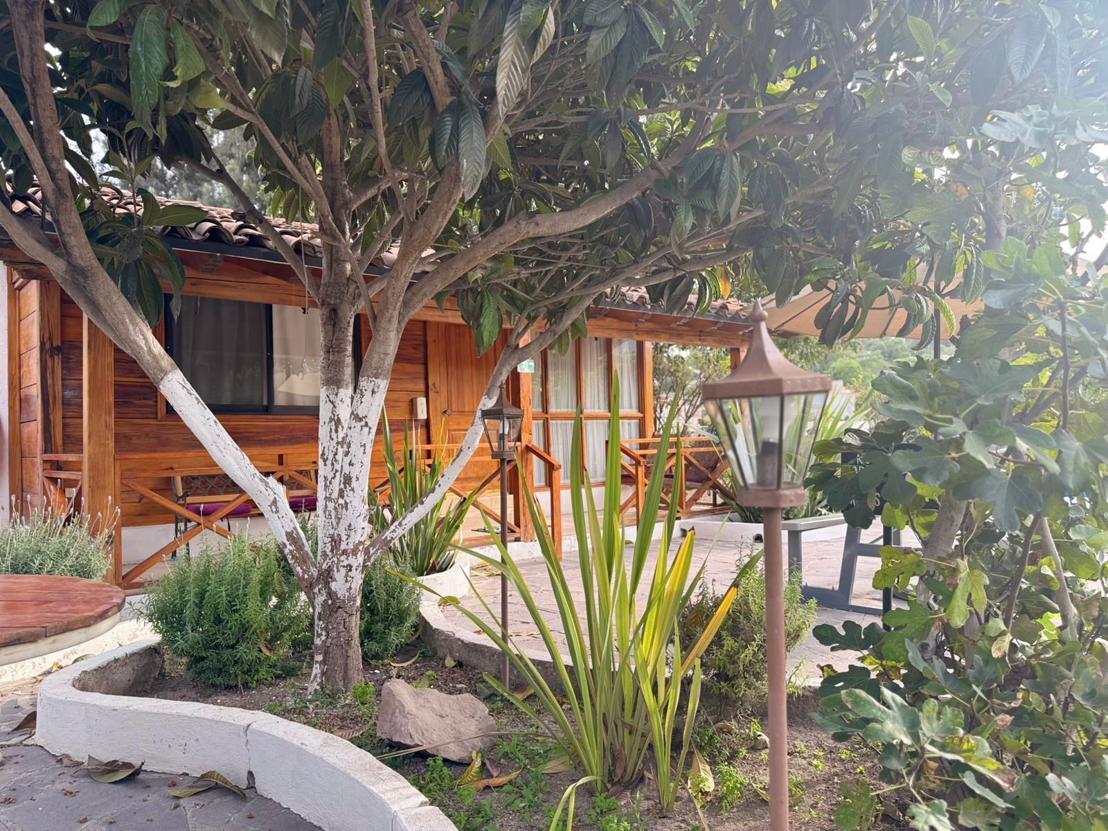 Uma cabana de madeira com um espaço de varanda, rodeada por plantas diversas e um poste de luz.
