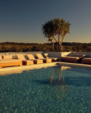 Área da piscina com espreguiçadeiras e uma palmeira.