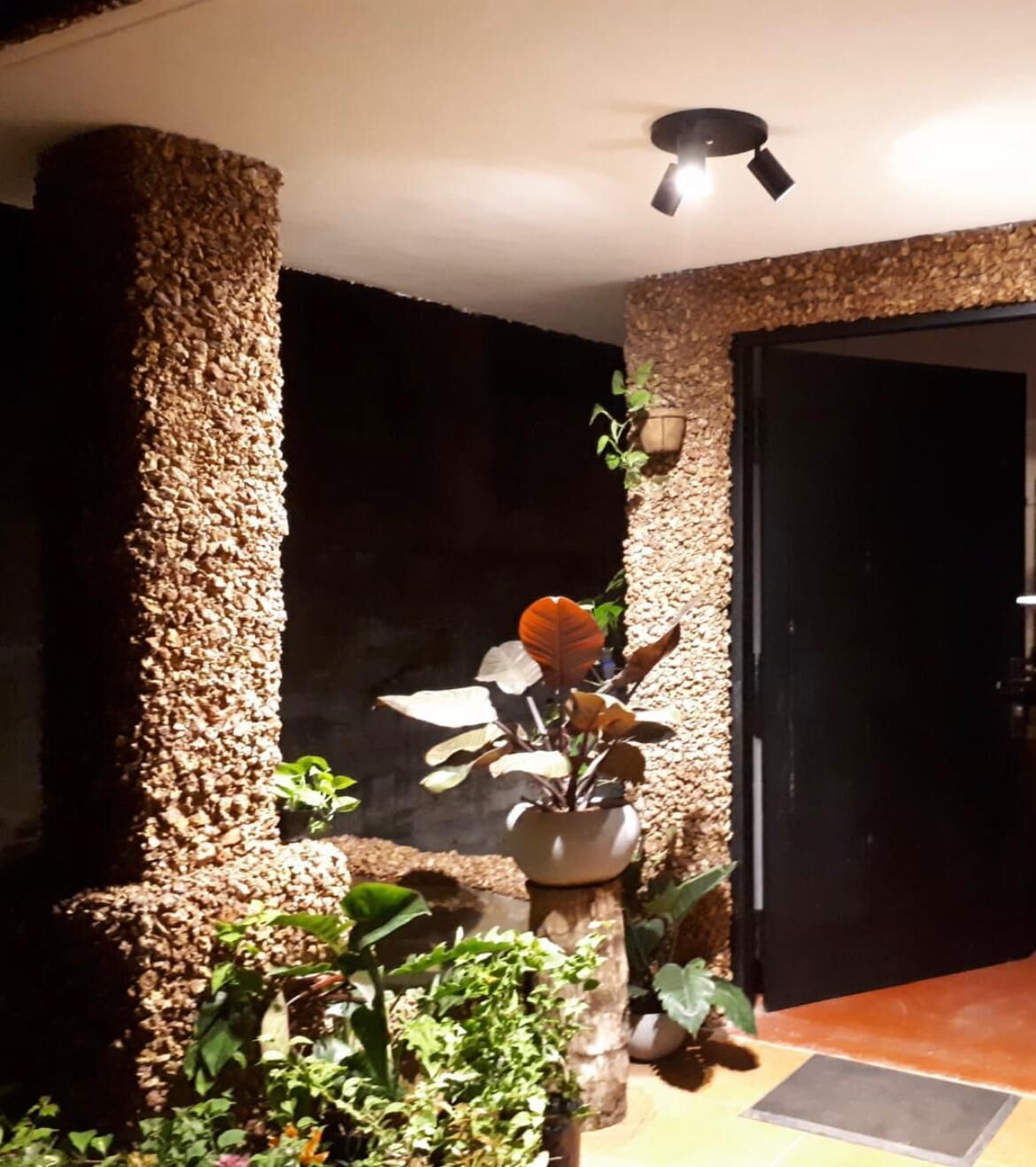 Um quarto com parede de pedra, uma planta em vaso e uma porta.