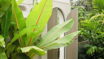 Um prédio residencial com portão fechado, entrada pavimentada e plantas tropicais exuberantes.