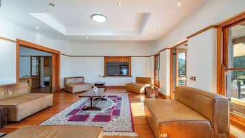 Vila família, ar-condicionado, vista para o vinhedo | Área de estar | Smart TV