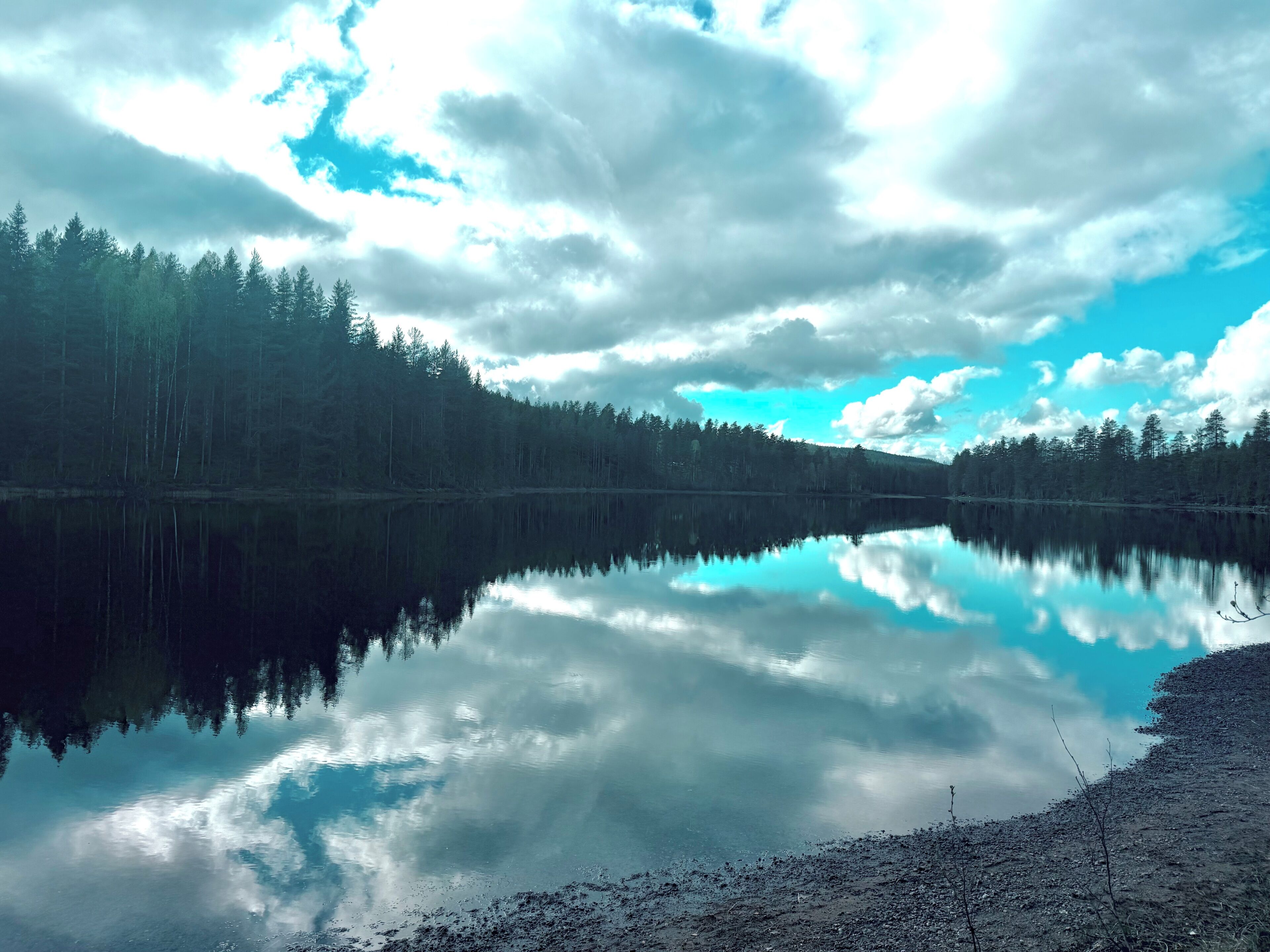 Um lago tranquilo com margens florestais e um reflexo nítido do céu.