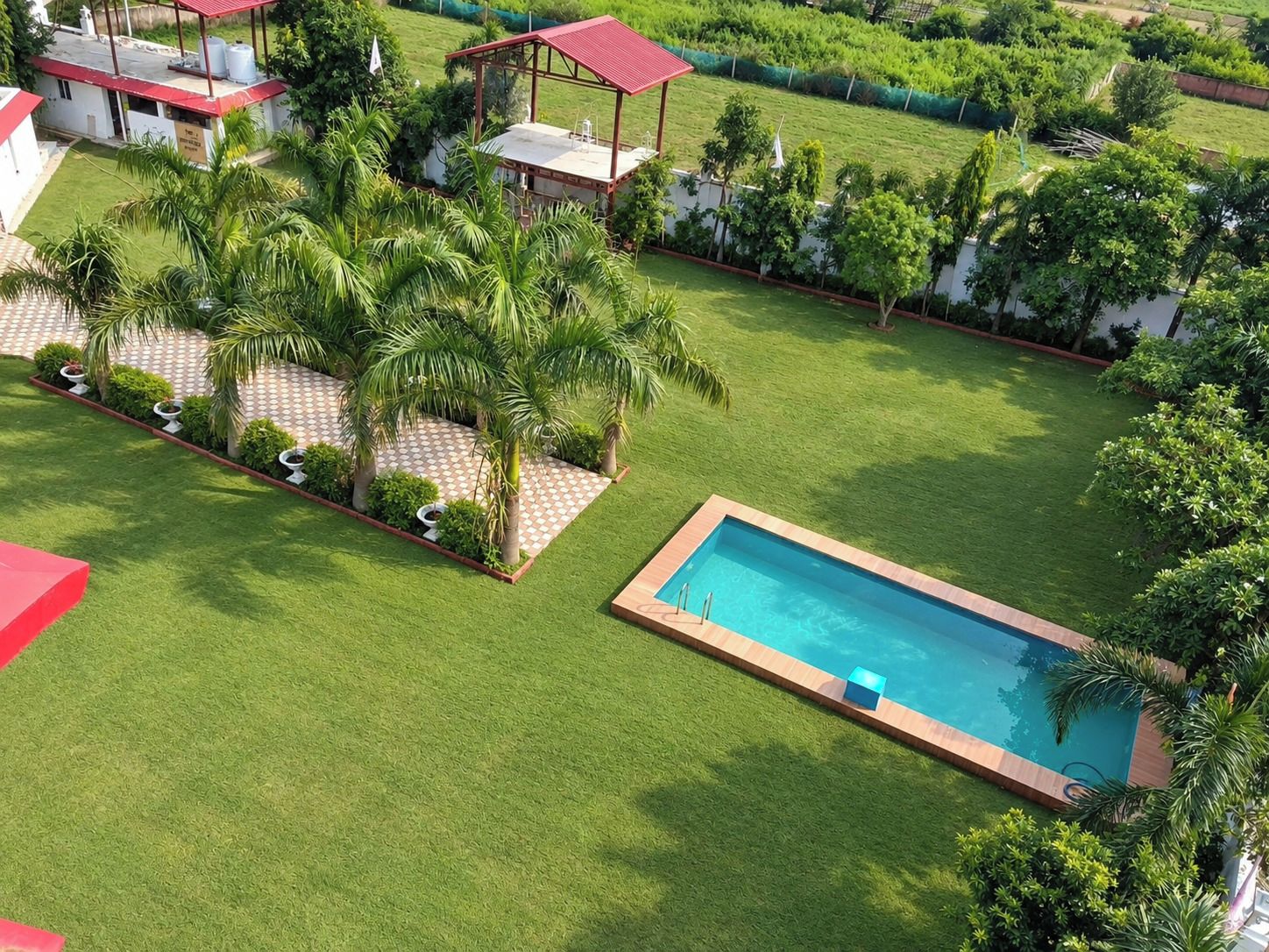 Piscina rodeada por um gramado bem cuidado e palmeiras.