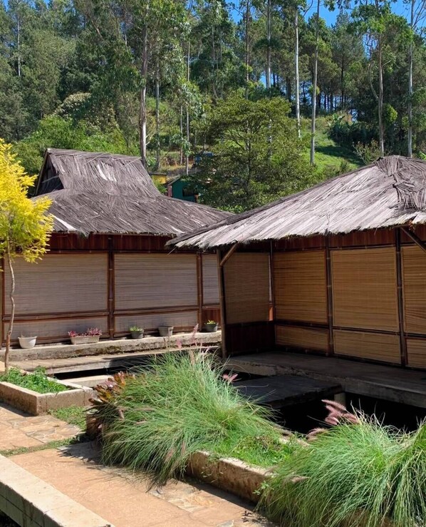 Uma construção tradicional com telhado de palha e fachada de madeira, rodeada por um jardim com diversas plantas e vista clara para um morro arborizado.