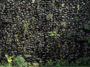 Paredes de pedra com diversas plantas e luminárias pendentes.