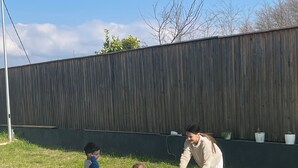 Uma área ao ar livre com gramado, cerca de madeira, um poste de metal e plantas em vasos.