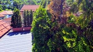 Área residencial com uma casa de telhado vermelho, cercada por vegetação densa e uma colina ao fundo.