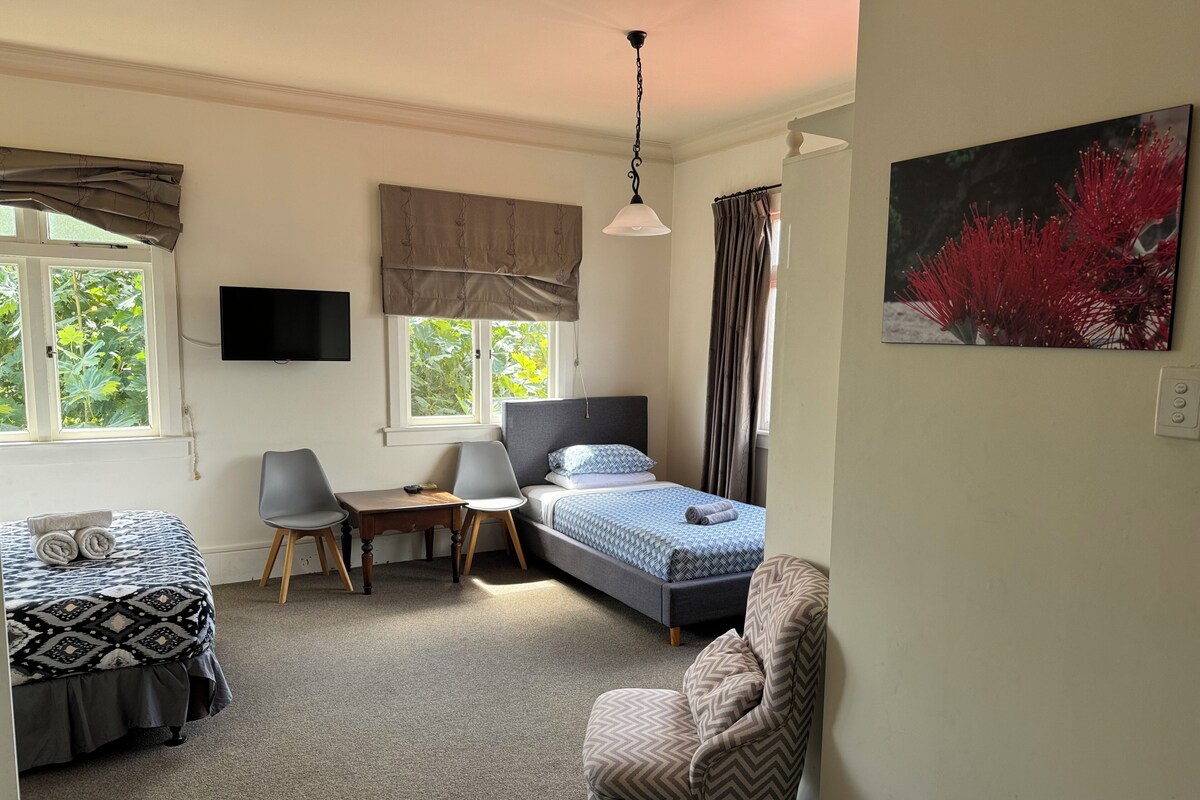 Um quarto com cama, duas cadeiras, escrivaninha, televisão e janela com cortinas.