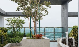 Jardim