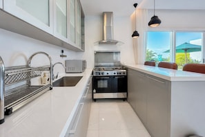 Cozinha moderna com eletrodomésticos de aço inoxidável, forno embutido e janela com vista para área verde.