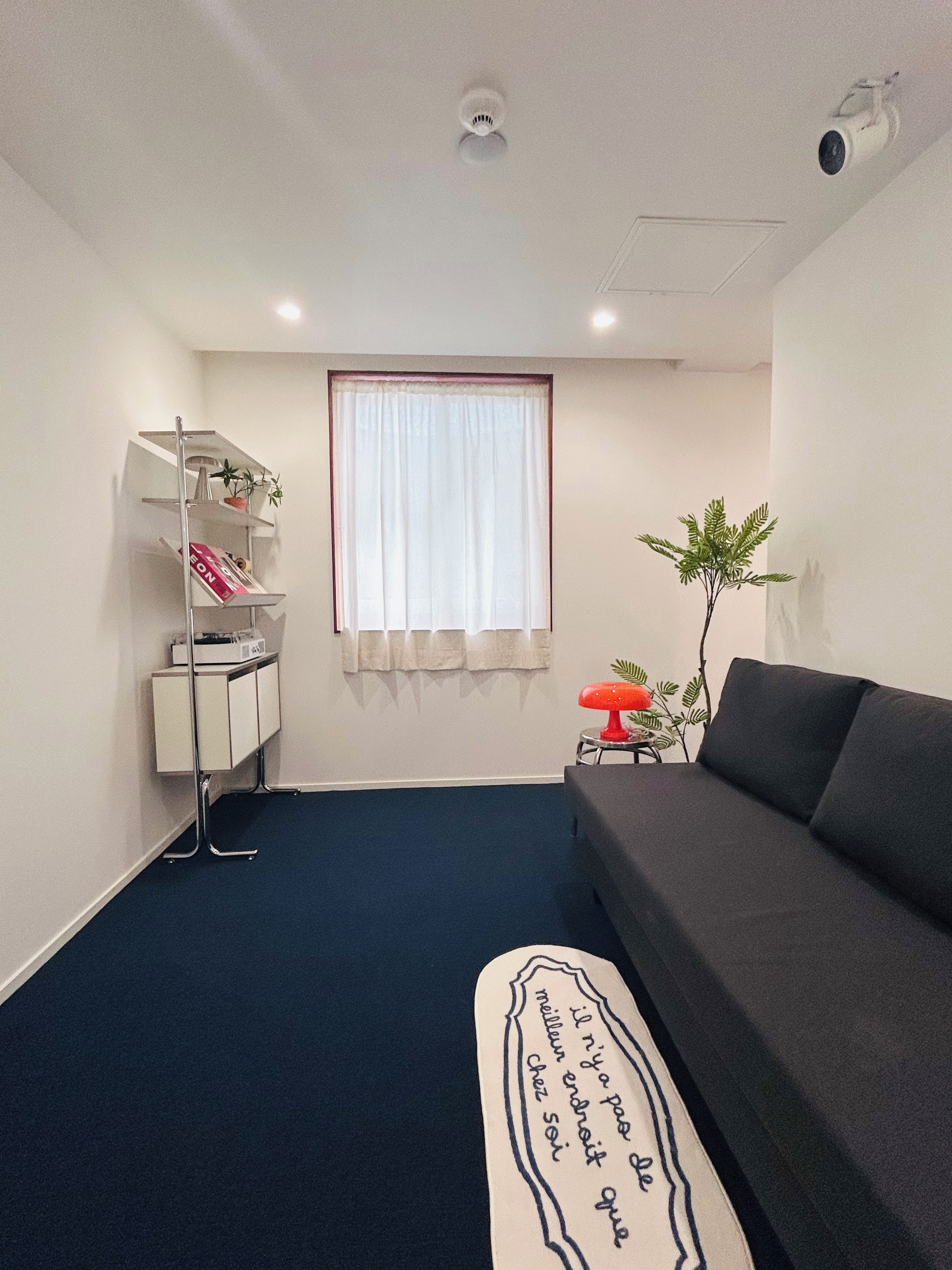 Uma sala de estar pequena e moderna com um tapete azul escuro, um sofá cinza, uma estante branca e uma janela com cortinas brancas.