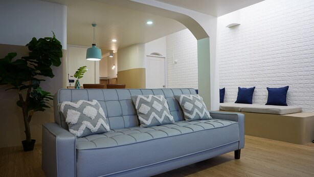 Uma sala de estar moderna com um sofá azul claro, uma mesa de centro e uma grande planta em vaso.