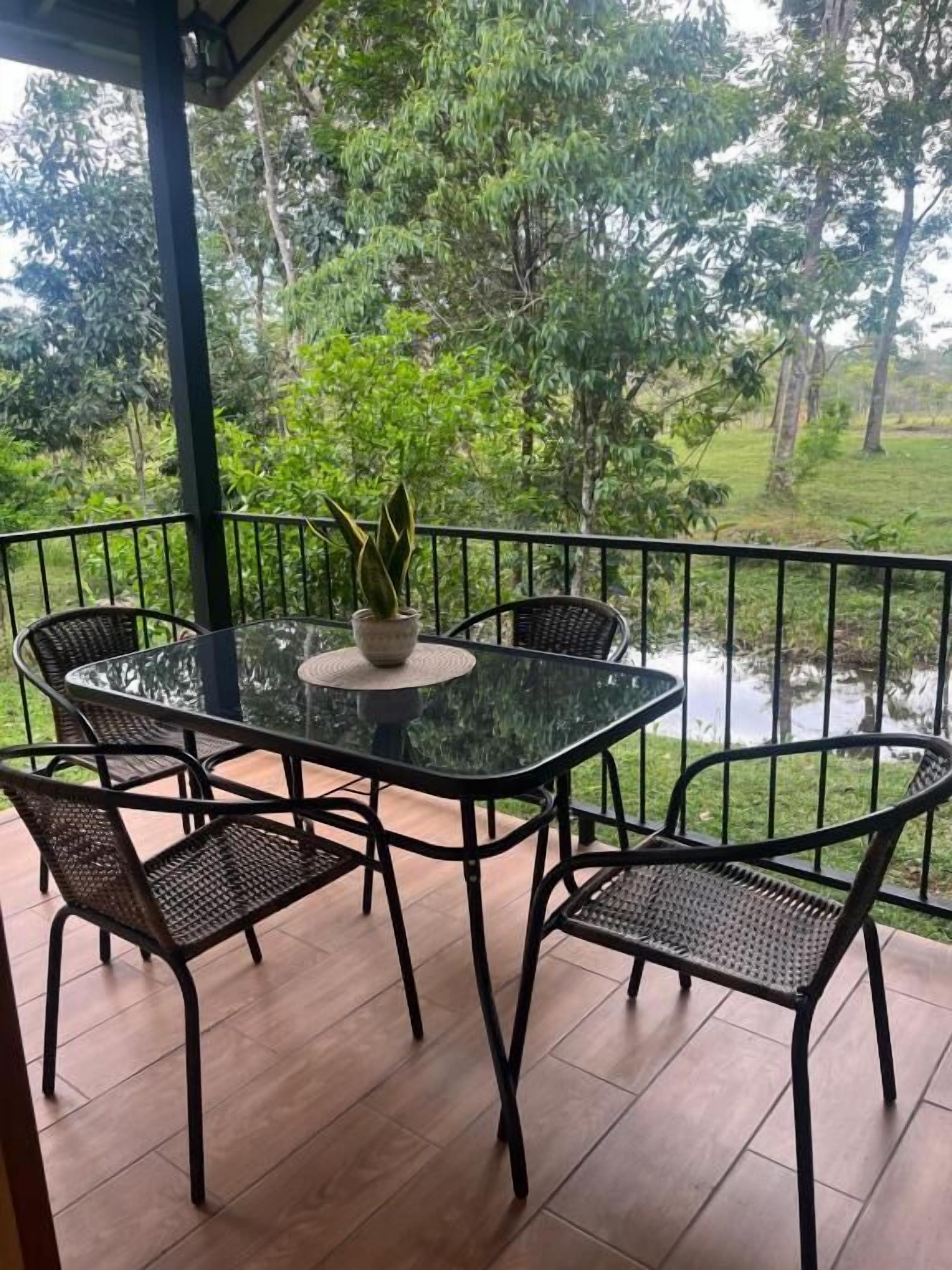 Mesa com tampo de vidro, quatro cadeiras, um vaso com planta e vista para a paisagem natural.