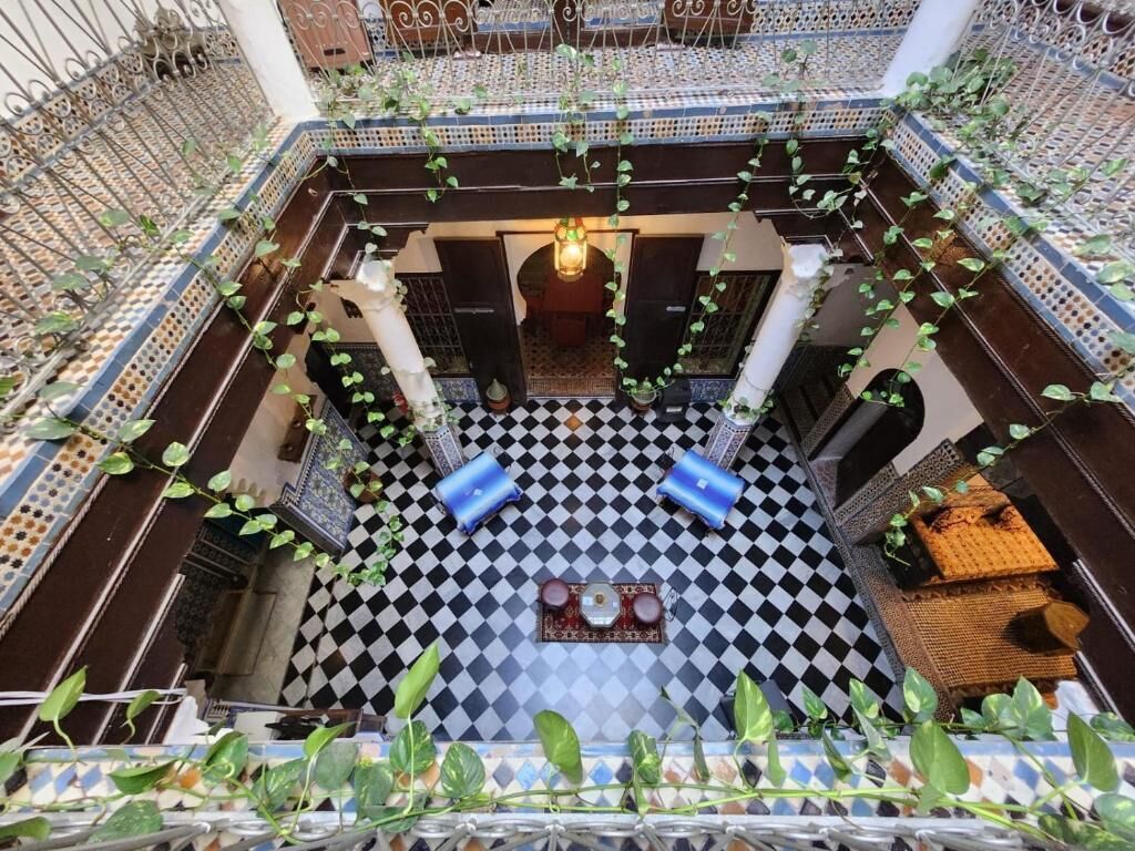 Pátio com piso xadrez, duas cadeiras azuis e plantas em vasos.