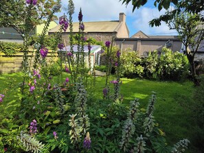 Um jardim com diversas plantas e flores, uma casa de tijolos e um céu limpo.