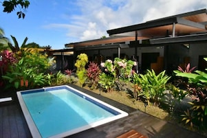Uma área moderna de piscina ao ar livre, com piscina retangular, cercada por diversas plantas tropicais e uma estrutura de prédio contemporânea.