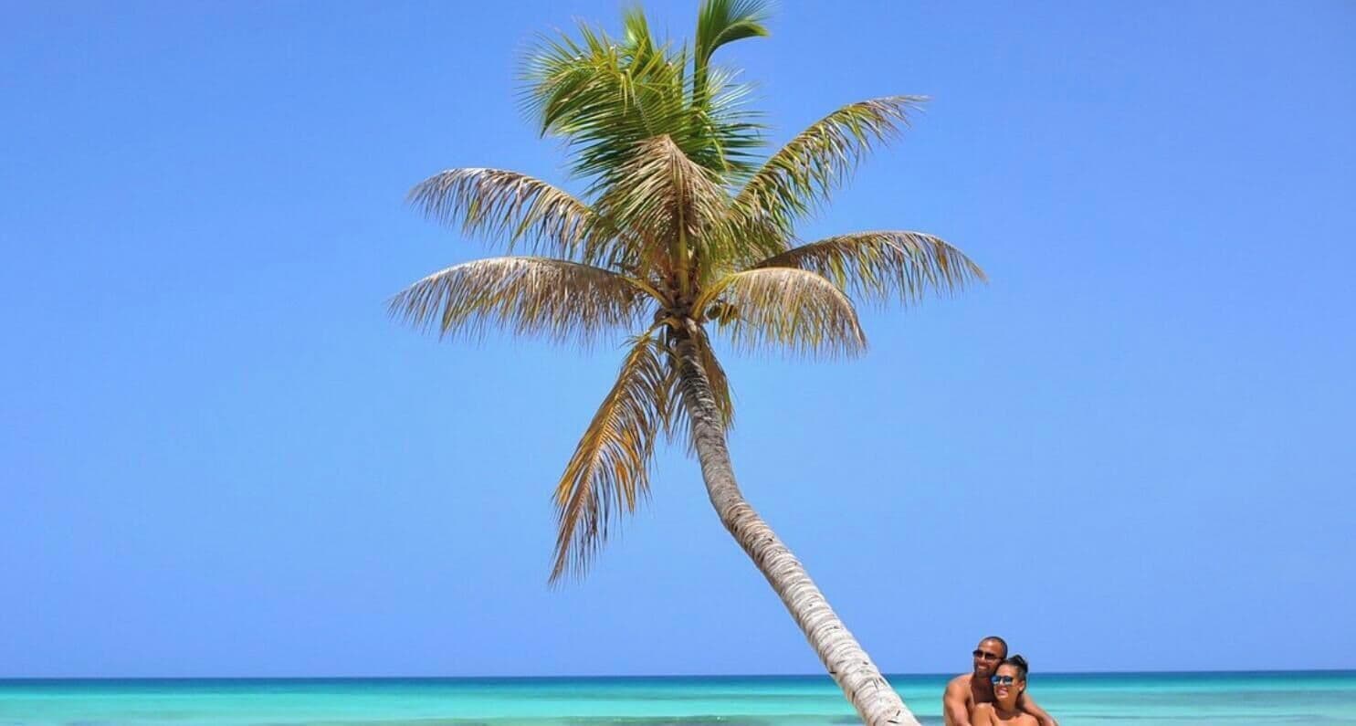 Céu azul claro e um único coqueiro na praia.