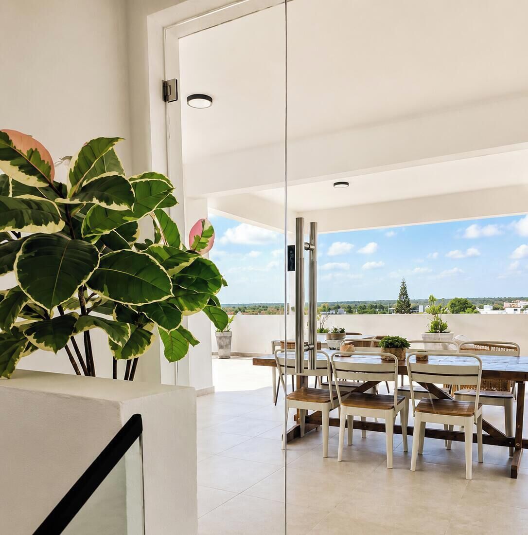 Uma área de refeições moderna com divisória de vidro, uma mesa com cadeiras e um vaso de planta.