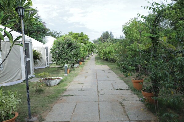 Bougainville By The Sea - Chennai